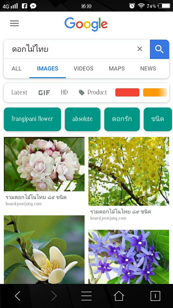 Google ปรับโฉมใหม่ ใต้รูปภาพบนสมาร์ทโฟน ทั้ง IOS และ ANDROID - InDigital